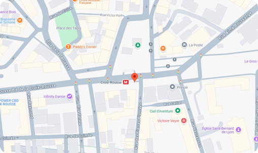 The Slopes of Croix-Rousse | Visit at your own pace | Liv'Story